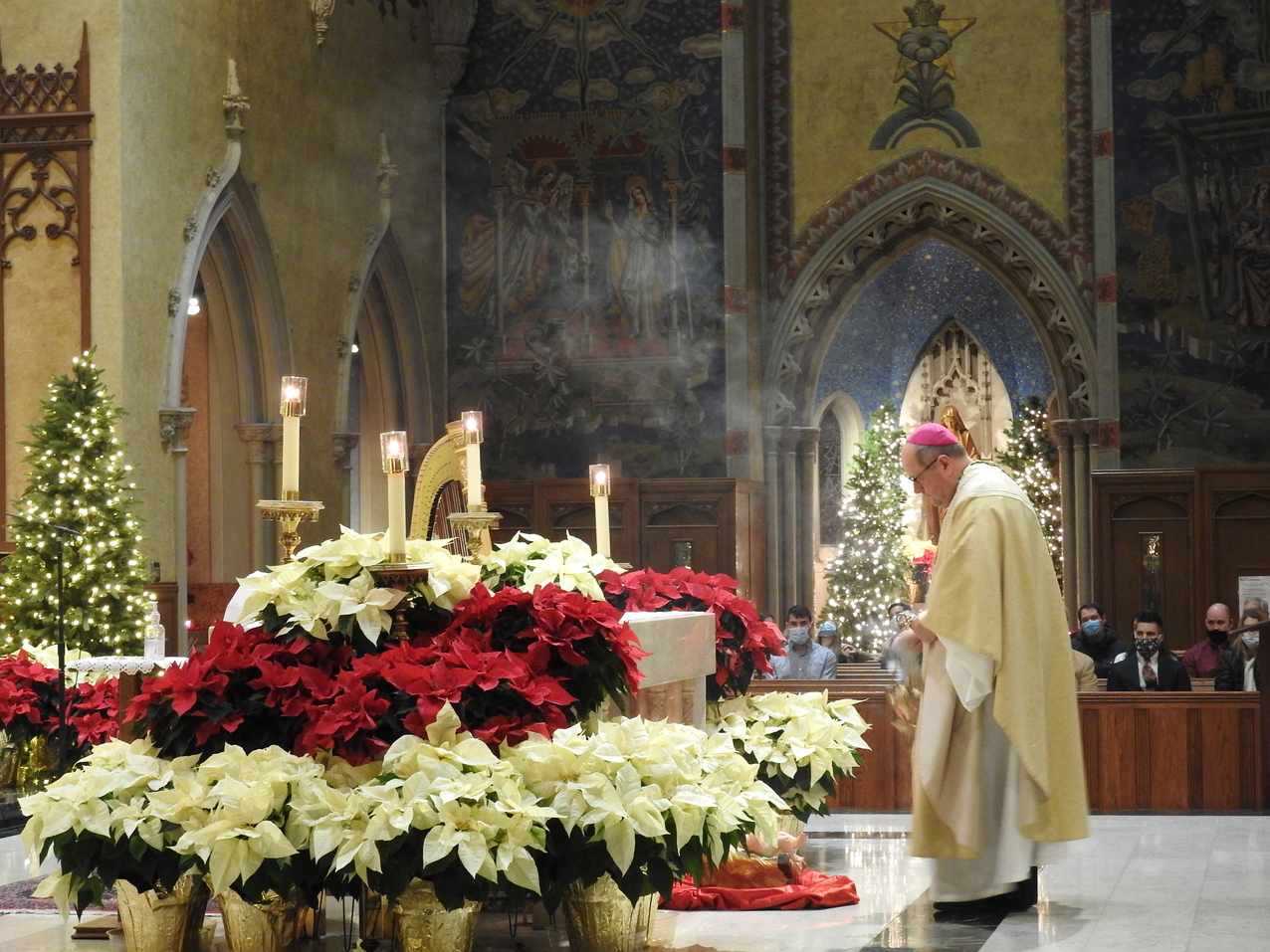Christmas Mass, confession schedules set for Cathedral of St. John the ...
