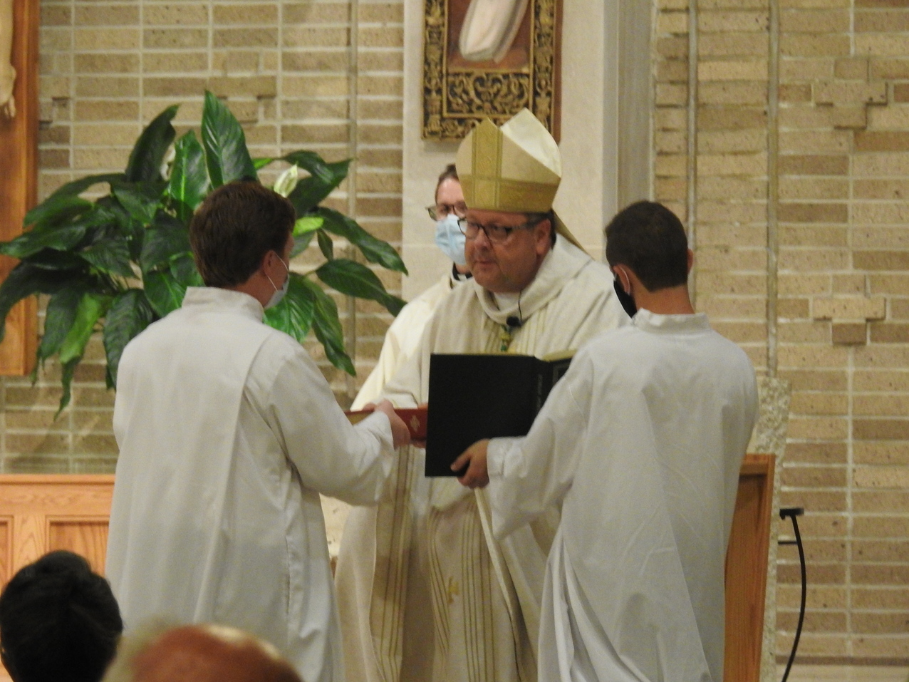 Eight seminarians instituted into ministry of lector